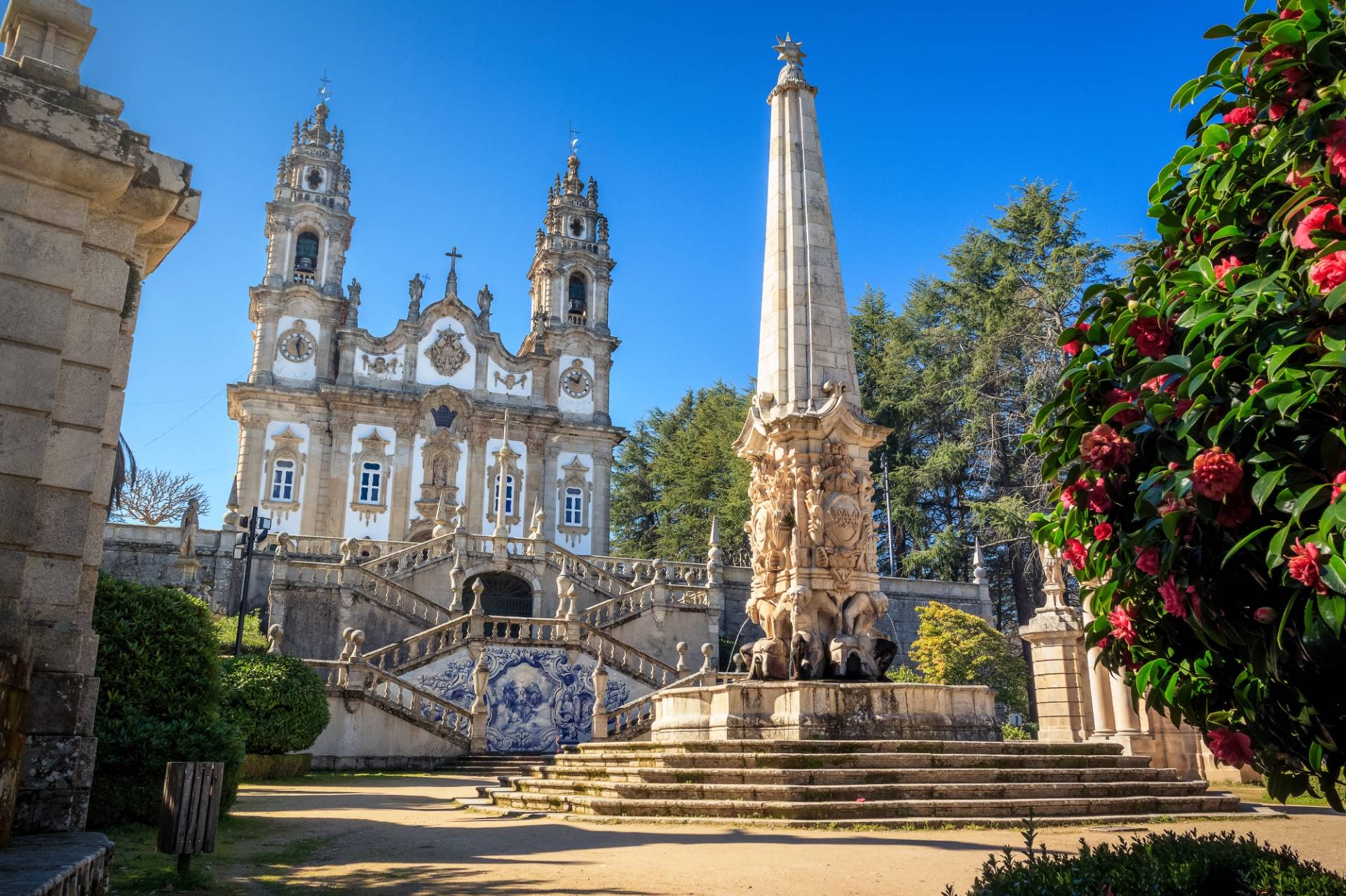 Lamego Best Wine Tastings & Winery Tours in 2022