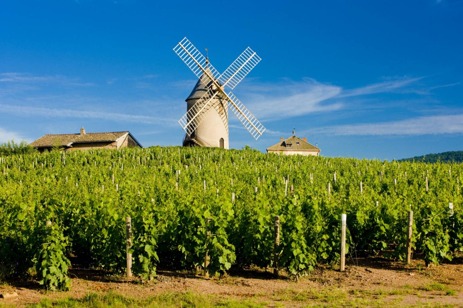 Besuchen Sie Beaujolais, France – BESTE Weinproben und ...