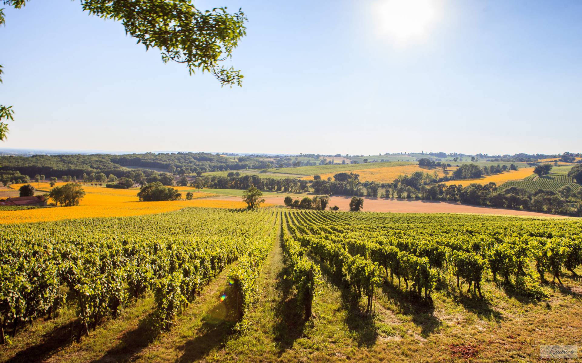 Domaine Enclos De La Croix ⭐️ Book Tours & Tastings