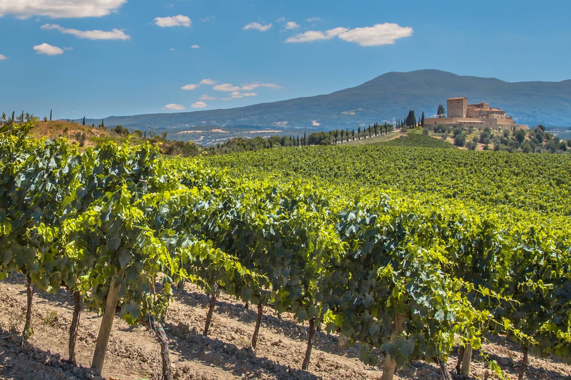 Visit Rioja, Spain - BEST Wine tastings & Winery tours