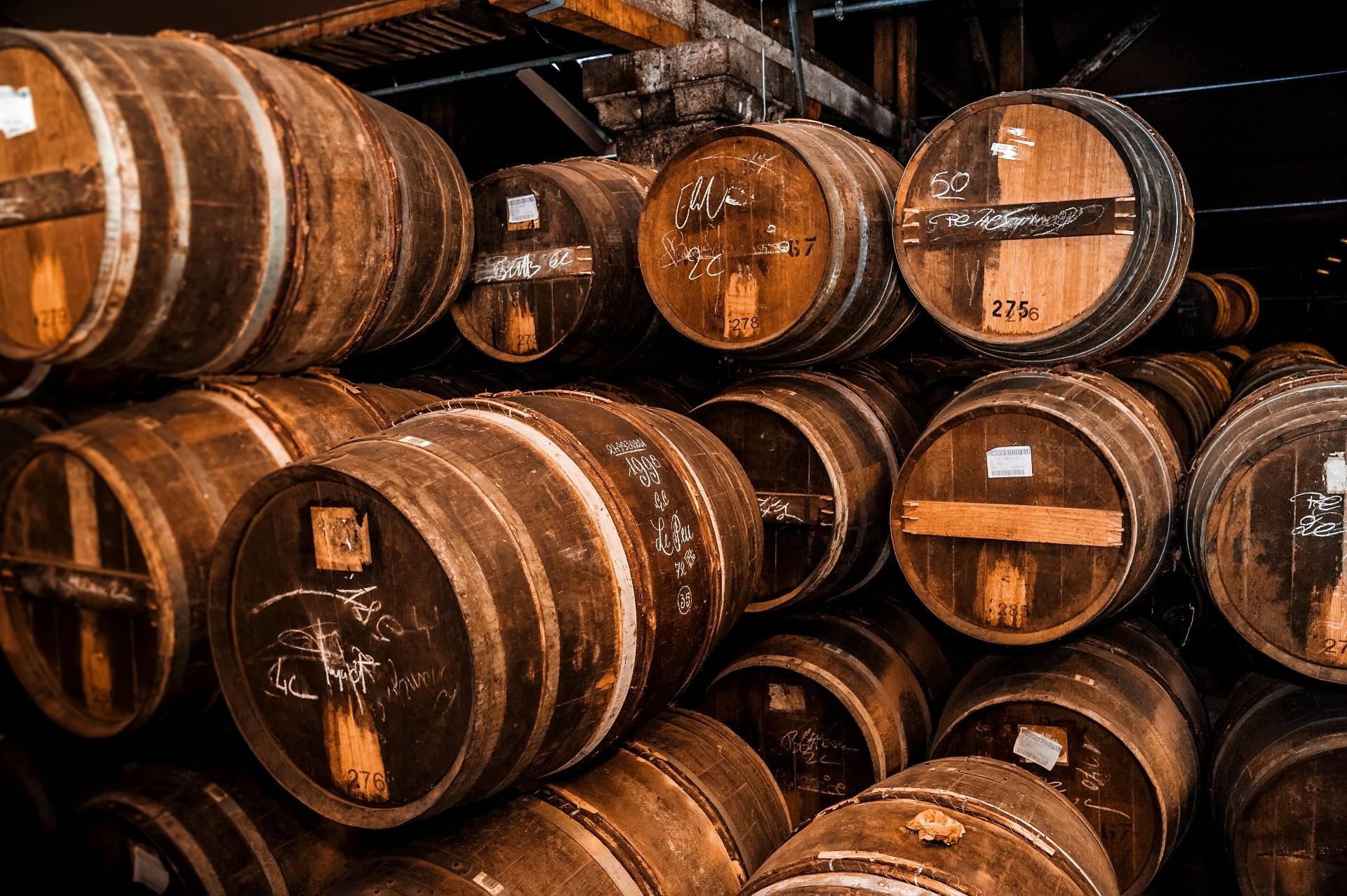 Bezoek Cognac, France - BESTE wijnproeverijen en wijntours