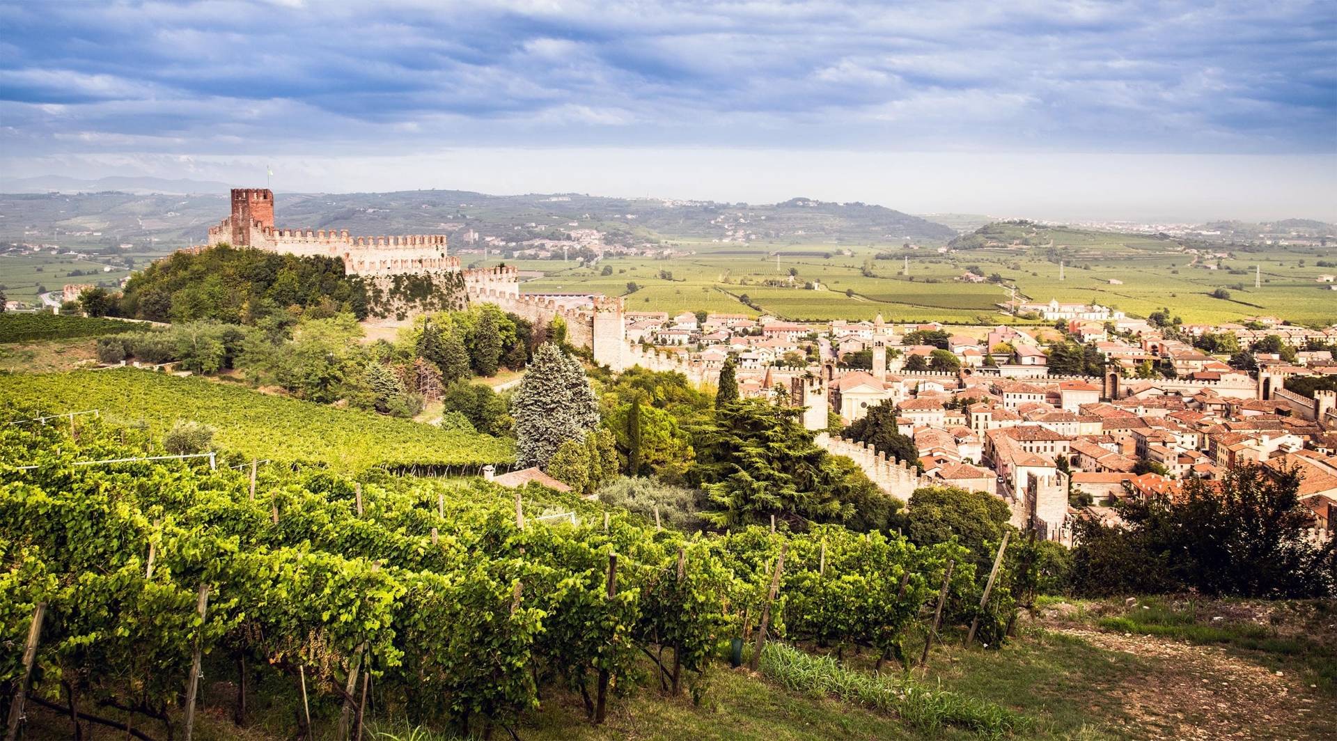 Visit Veneto, Italie - BEST Wine tastings & Winery tours