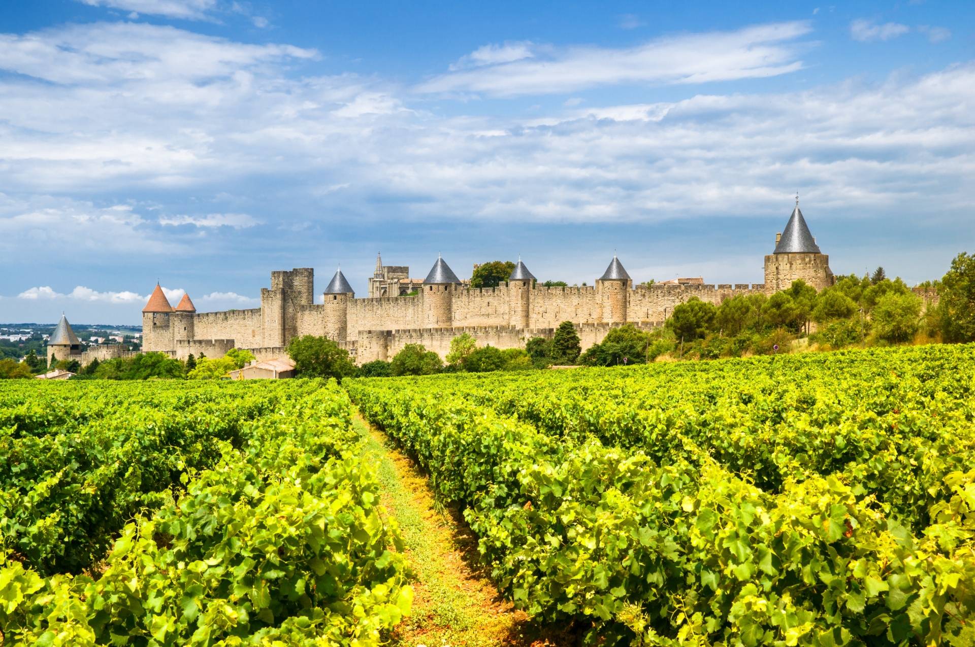 Visit Languedoc-Rousillon, France - BEST Wine tastings & Winery tours